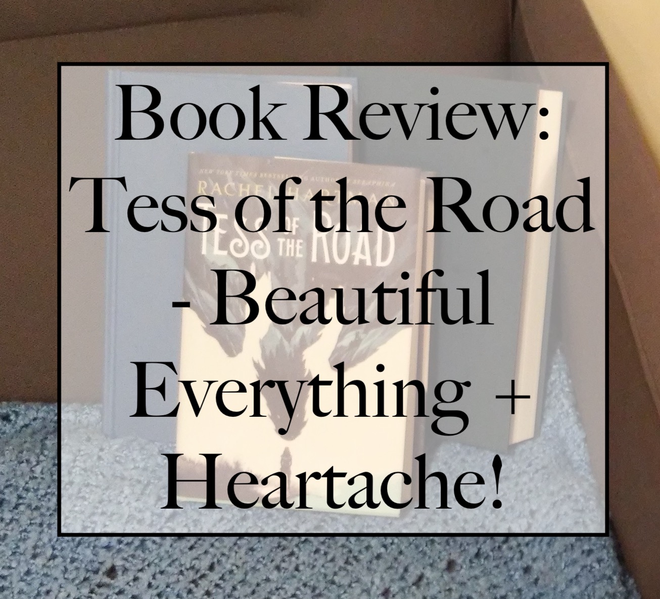 Book Review: Tess of the Road – Beautiful Everything + Heartache ...